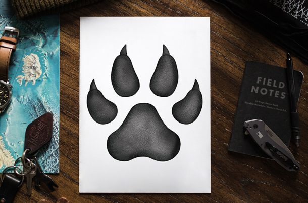 How to Draw a Paw Print - Easy Step-by-Step Guide