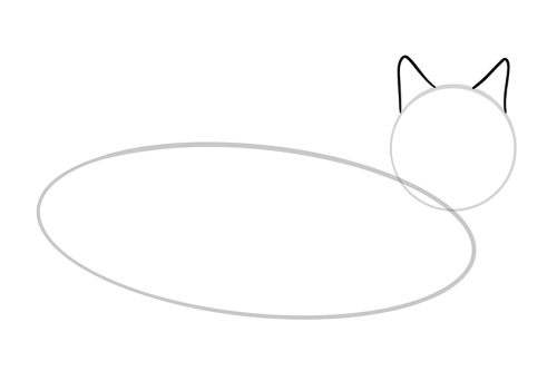 How to Draw a Lynx - Create a Majestic and Stealthy Lynx Sketch