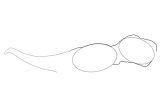 How to Draw a T-Rex - Create an Epic T-Rex Drawing
