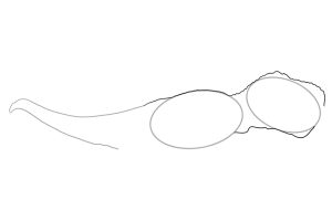 How to Draw a T-Rex - Create an Epic T-Rex Drawing