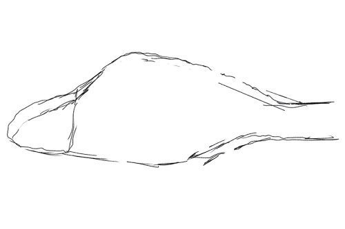 Fish Drawing - An Easy Aquatic Tutorial for Beginners