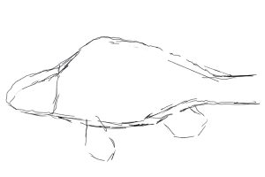 Fish Drawing - An Easy Aquatic Tutorial for Beginners