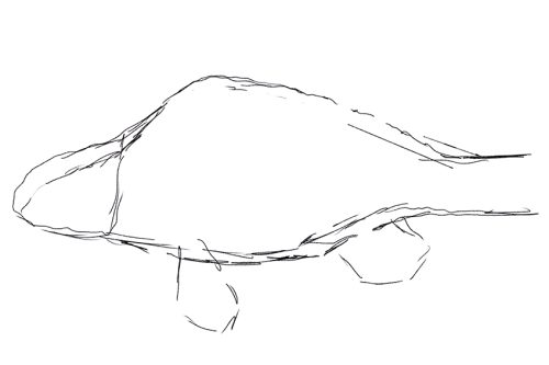 Fish Drawing - An Easy Aquatic Tutorial for Beginners