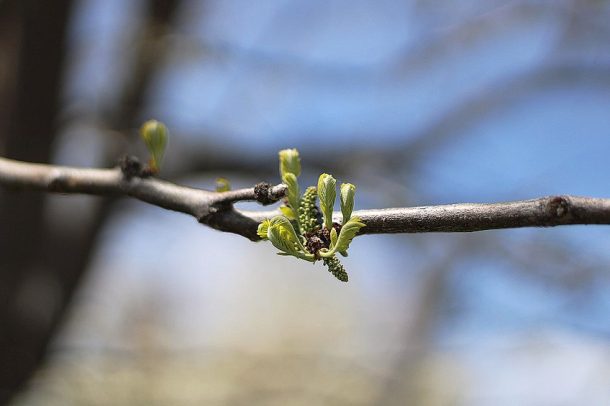 Emphasis in Photography - What Is Emphasis in Photography?
