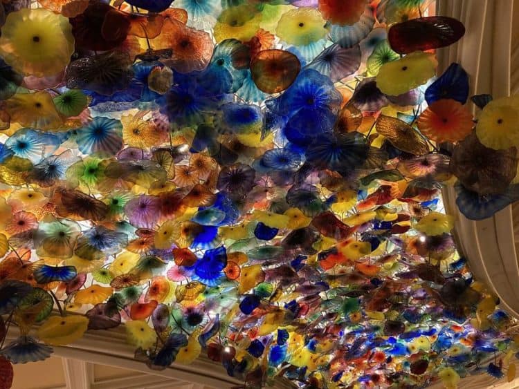 Dale Chihuly - Exploring the Great Glass Artist