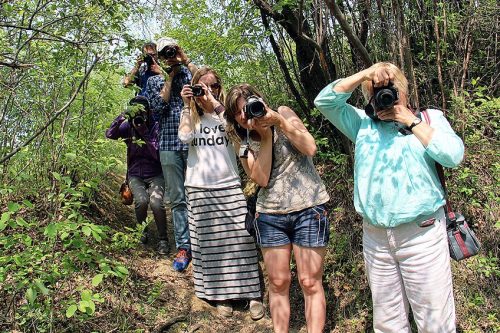 History of Photography - Explore the Origin of Photography
