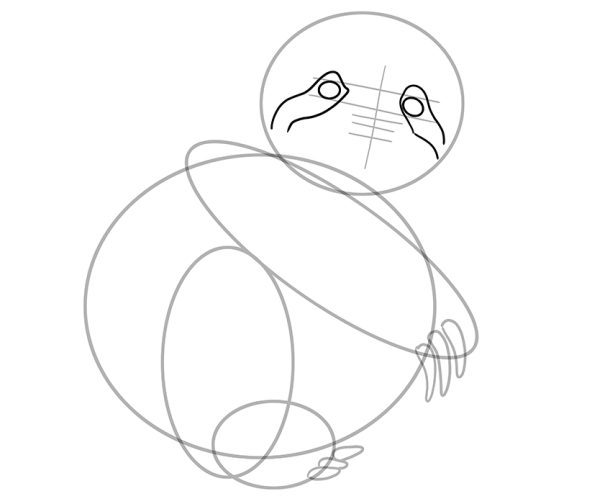 How to Draw a Sloth - Create an Adorable Sloth Sketch