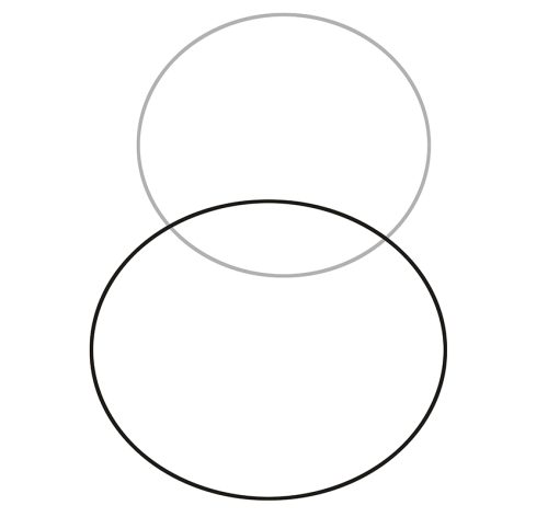 How to Draw a Teddy Bear - Create a Cuddly Teddy Bear Drawing