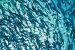 Petrol Blue - Learn All About the Petrol Blue Color
