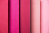 Pink Color - Understanding the Different Pink Color Undertones