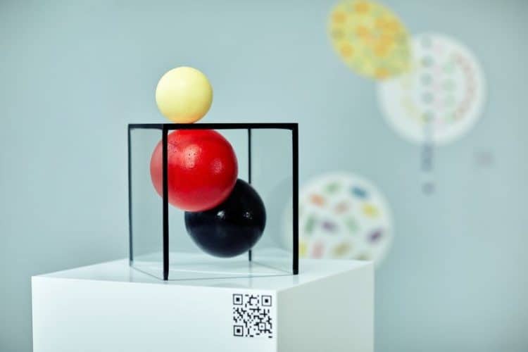 Is Art Subjective? - Understanding Subjectivity in Art