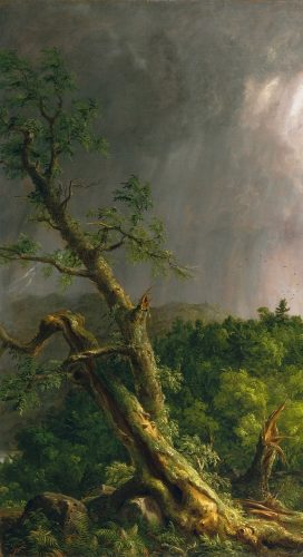 "The Oxbow" by Thomas Cole - A Look at "The Oxbow" Painting