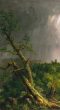 "The Oxbow" by Thomas Cole - A Look at "The Oxbow" Painting