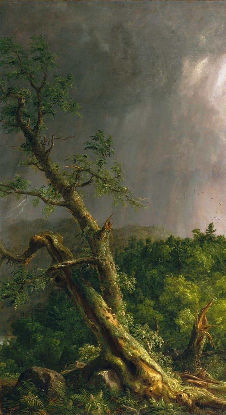 "The Oxbow" by Thomas Cole - A Look at "The Oxbow" Painting