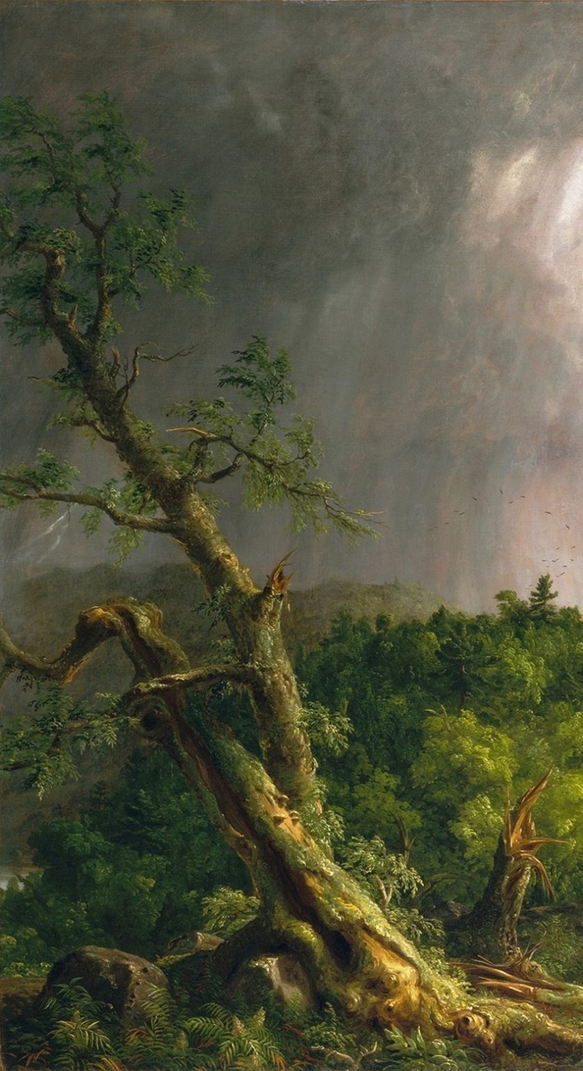 "The Oxbow" by Thomas Cole - A Look at "The Oxbow" Painting