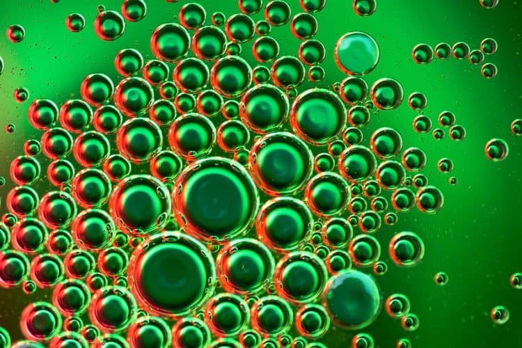 What Color Does Orange and Green Make? - Warm Color Palette
