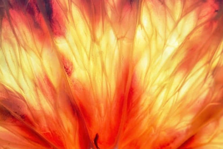 What Color Does Orange and Red Make? - Mix Orange-Red Hues