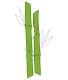 How to Draw Bamboo - Capturing Nature's Grace on Paper