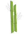 How to Draw Bamboo - Capturing Nature's Grace on Paper