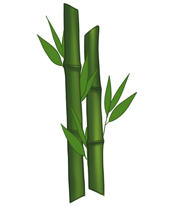 How to Draw Bamboo - Capturing Nature's Grace on Paper