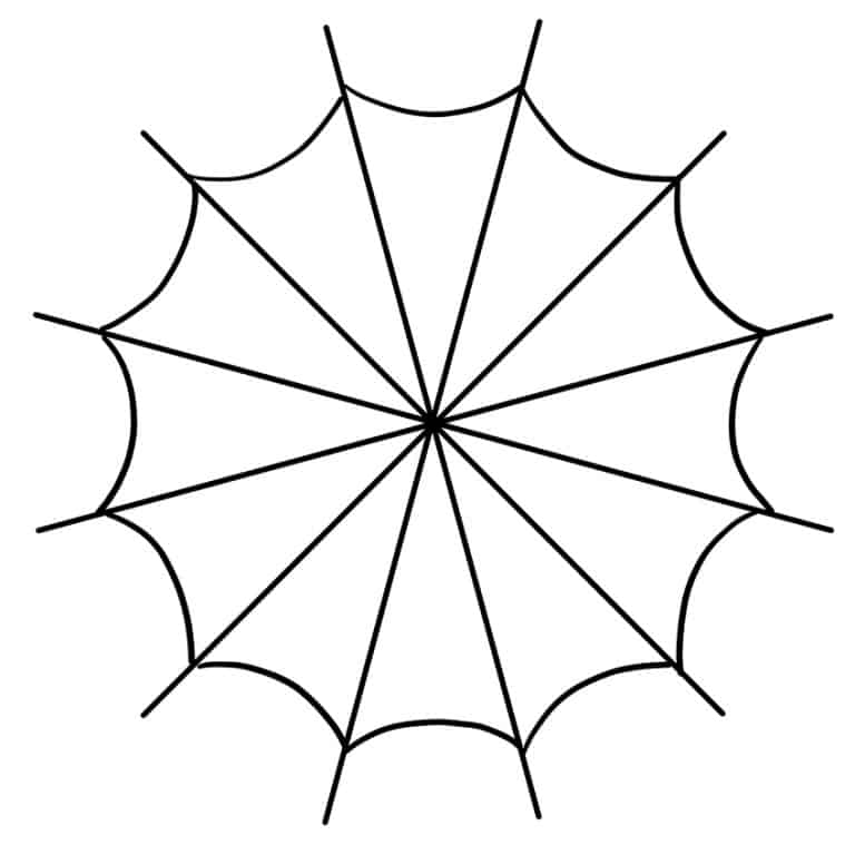How to Draw a Spider Web - Nature's Architecture