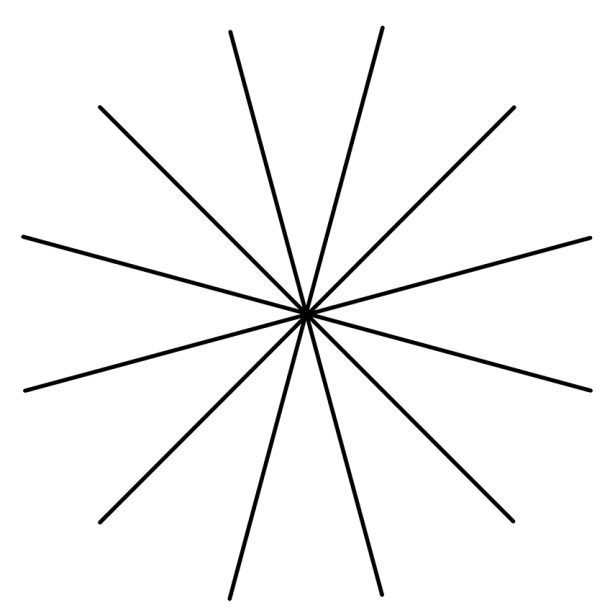 How to Draw a Spider Web - Nature's Architecture