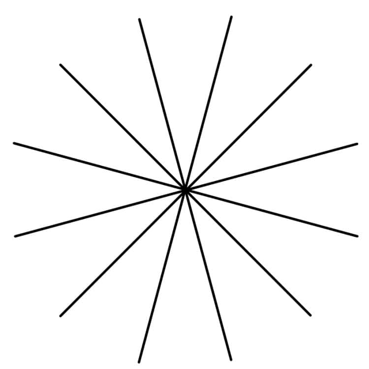 How to Draw a Spider Web - Nature's Architecture