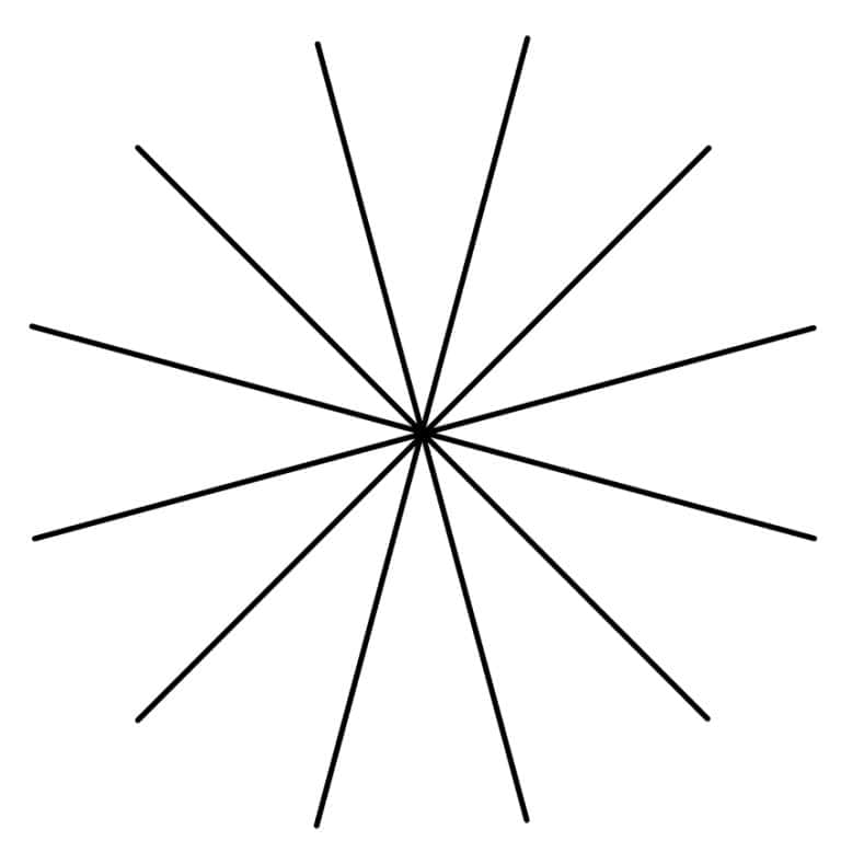 How to Draw a Spider Web - Nature's Architecture