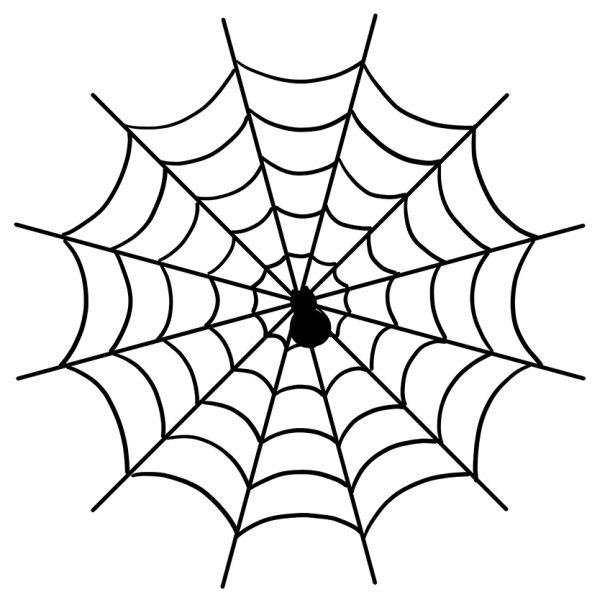 How to Draw a Spider Web - Nature's Architecture