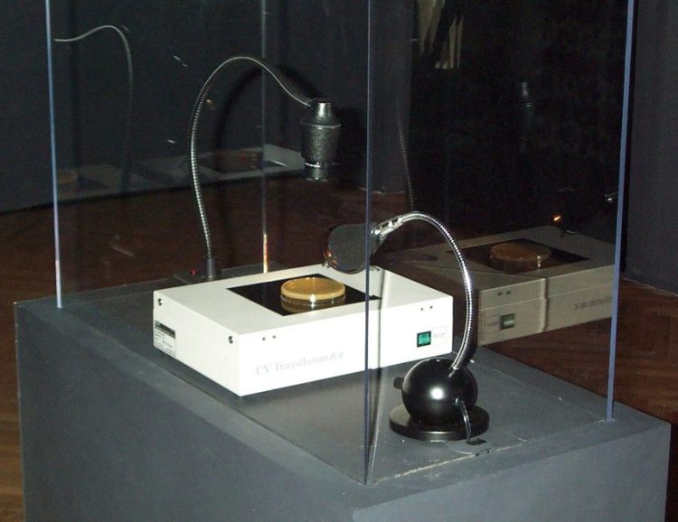 What Is New Media Art? - The Role of Technology in Modern Art
