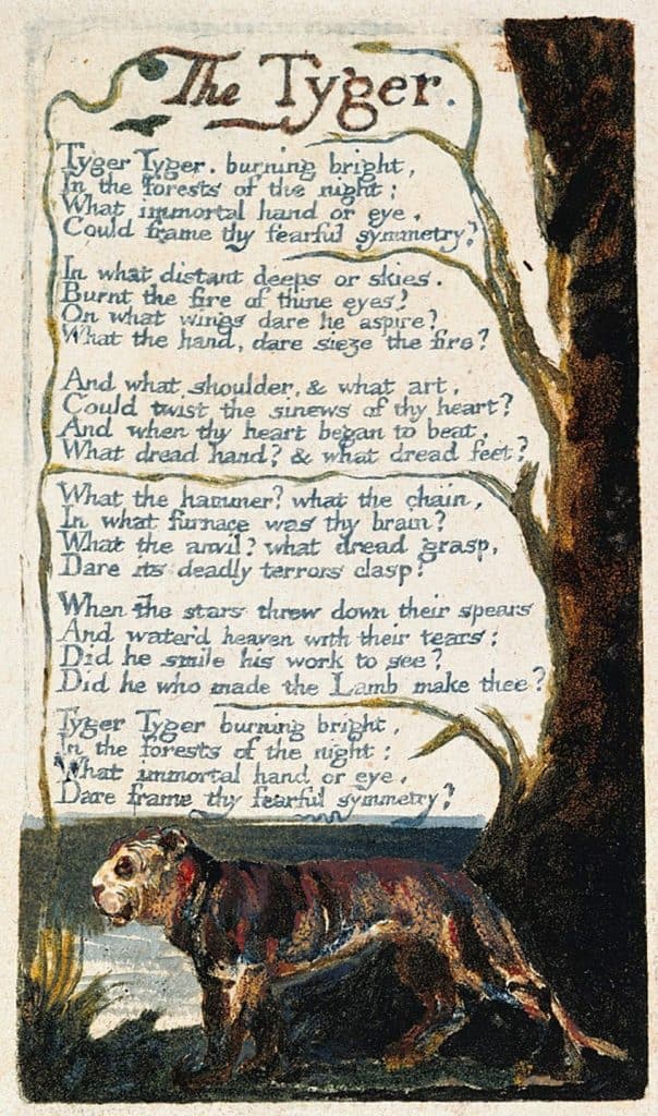 Consonance in Poetry - A Literary Device to Create Rhythm