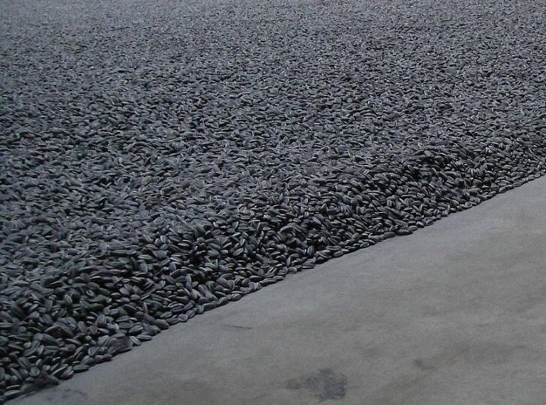 "Sunflower Seeds" by Ai Weiwei - An In-Depth Artwork Analysis