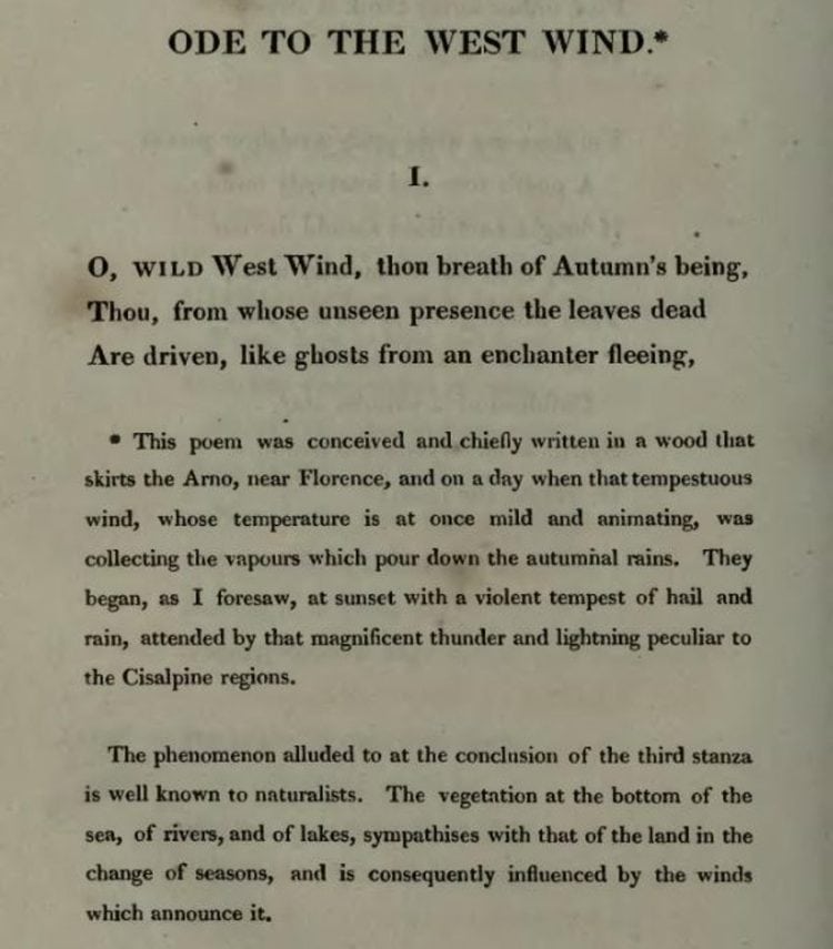Stanza in Poetry - The Building Blocks of Poetic Structure