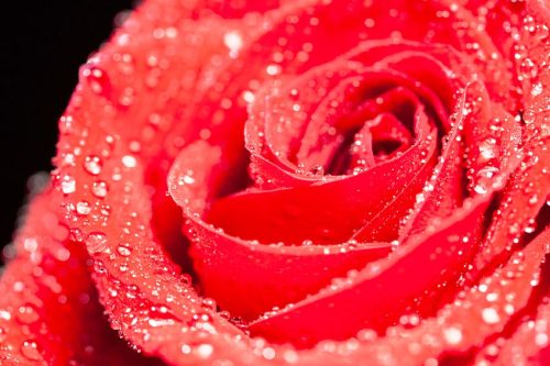 What Your Favorite Color Says About You - What Colors Mean