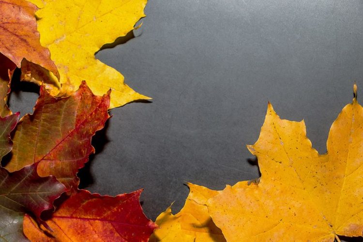 Graphite Color - Learn About This Unique Shade of Gray