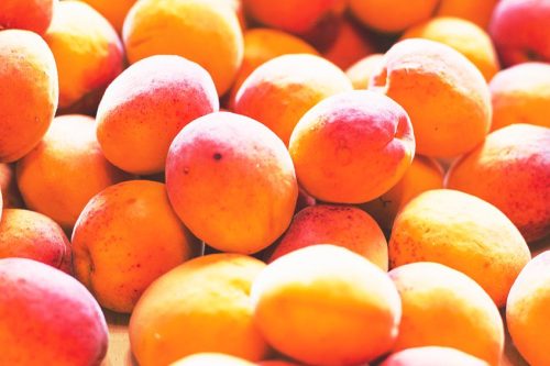 Persimmon Color - Explore the Adventurous Shades of Orange