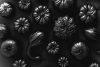 Onyx Color - The Shade of Black That Originated from a Rock