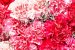 What Does Red and Pink Make? - Explore Warm Shades of Pink