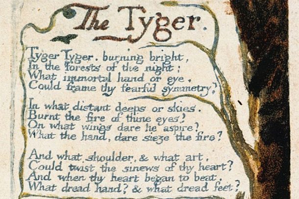 Stanza in Poetry - The Building Blocks of Poetic Structure