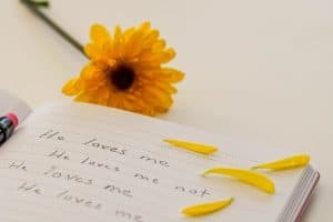 TPCASTT Poetry Analysis - The Best Way to Dissect a Poem