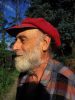 Friedensreich Hundertwasser - Discover the Austrian Visual Artist