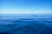 Calming Colors - The Effects of Cool Tones and Shades