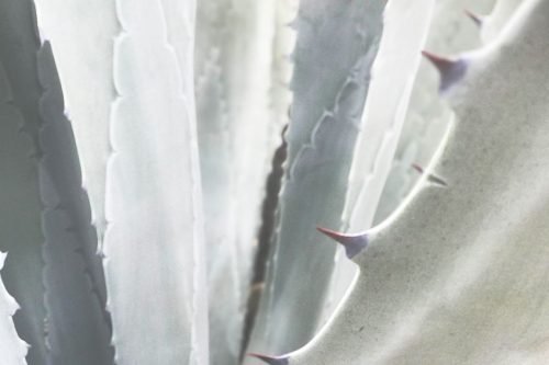 Calming Colors - The Effects of Cool Tones and Shades
