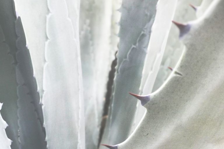 Calming Colors - The Effects of Cool Tones and Shades