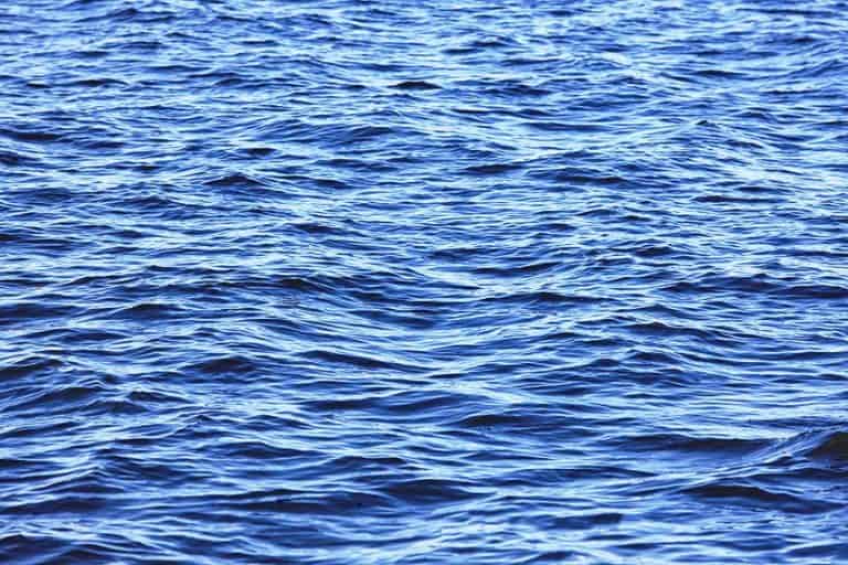 Rarest Color in Nature - The Color That Is Mostly an Optical Illusion