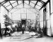 What Was the First Movie in Color? - A Technicolor Triumph