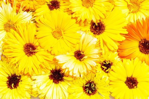 What Colors Do Yellow and Brown Make? - Mixing Warm Shades