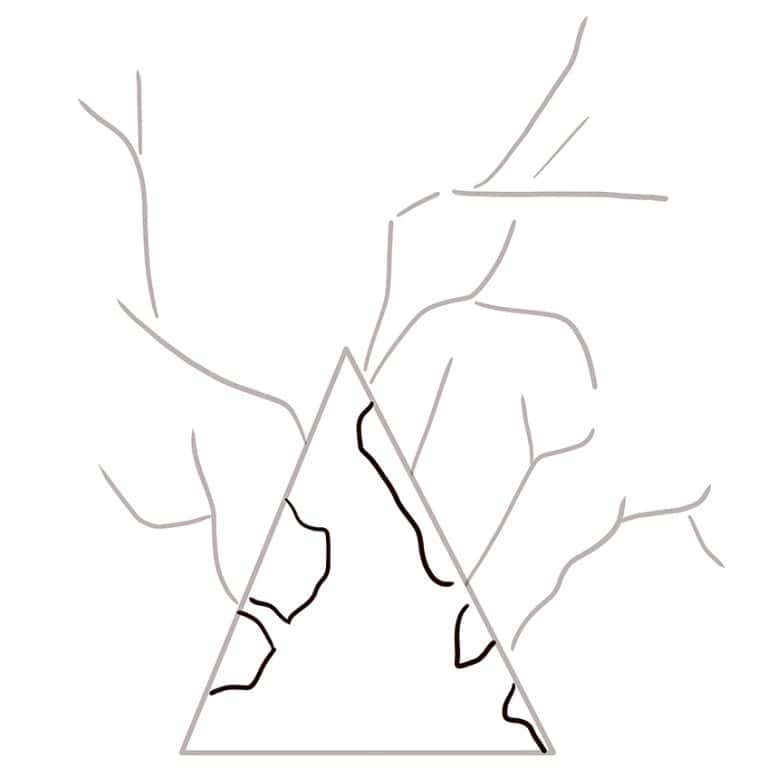 How to Draw a Dead Tree - A Step-by-Step Guide