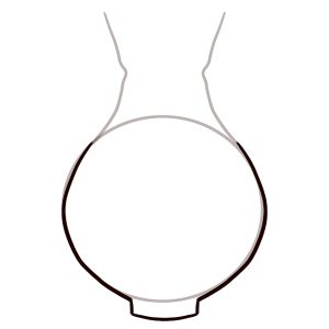 How to Draw a Vase - A Step-by-Step Sketching Guide