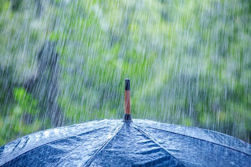 Poems About Rain - Discover the 10 Most Famous Examples